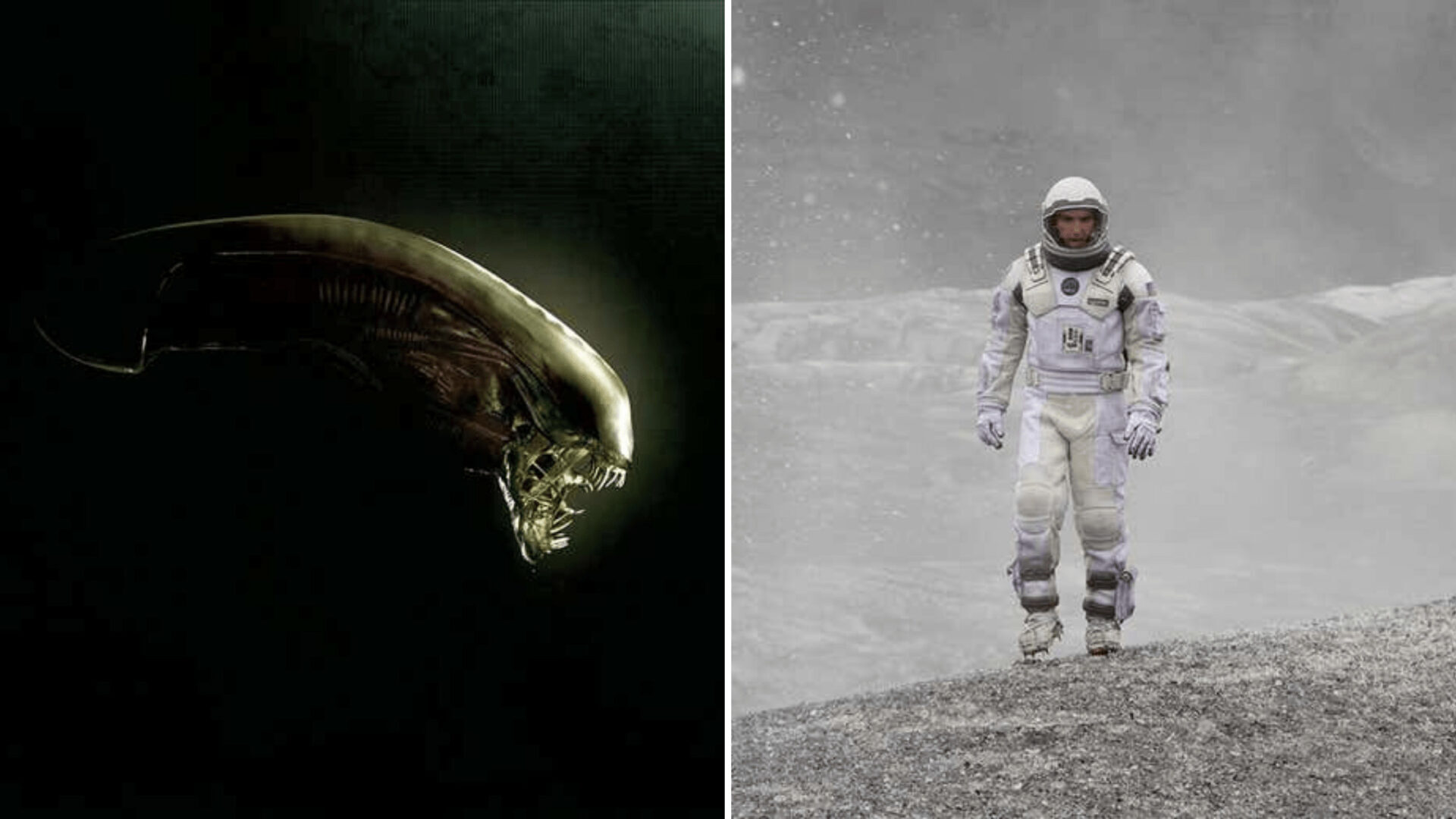 Best Space Movies That Will Take You Out of This World